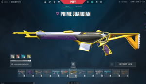 The Best Guardian Skin in Valorant - Sirknightj